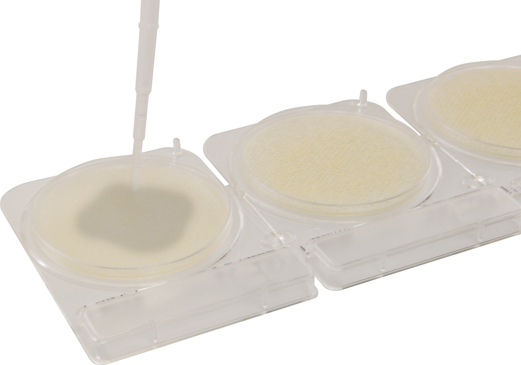 Get Reliable Plate Count Results With CompactDry Plates